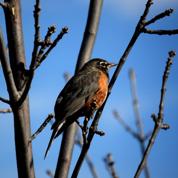 Vaguely Familiar | Out of My Write Mind