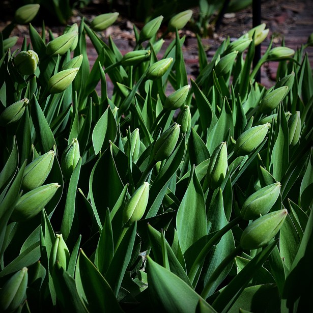 Natural Repetition | Out of My Write Mind