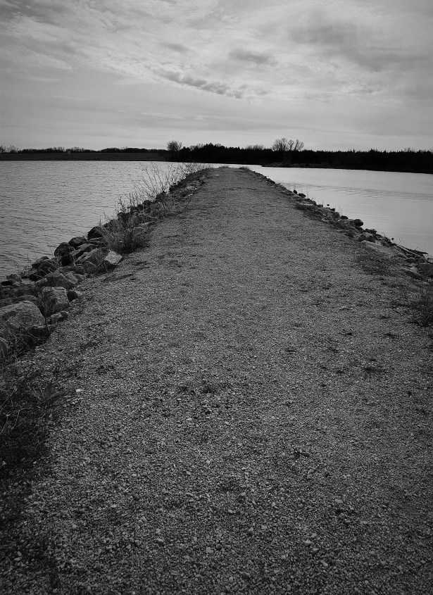 Pretty Darn Straight | Out of My Write Mind