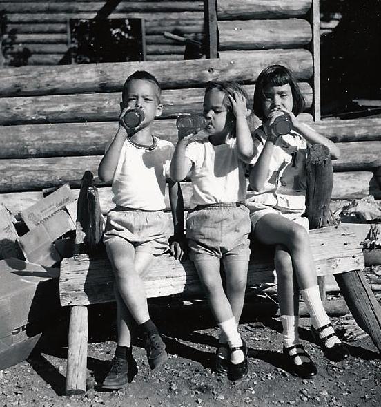 Bumps On A Log | Out of My Write Mind