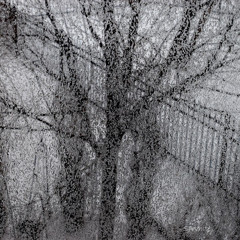 February Can Be Frigid #13 | Out of My Write Mind