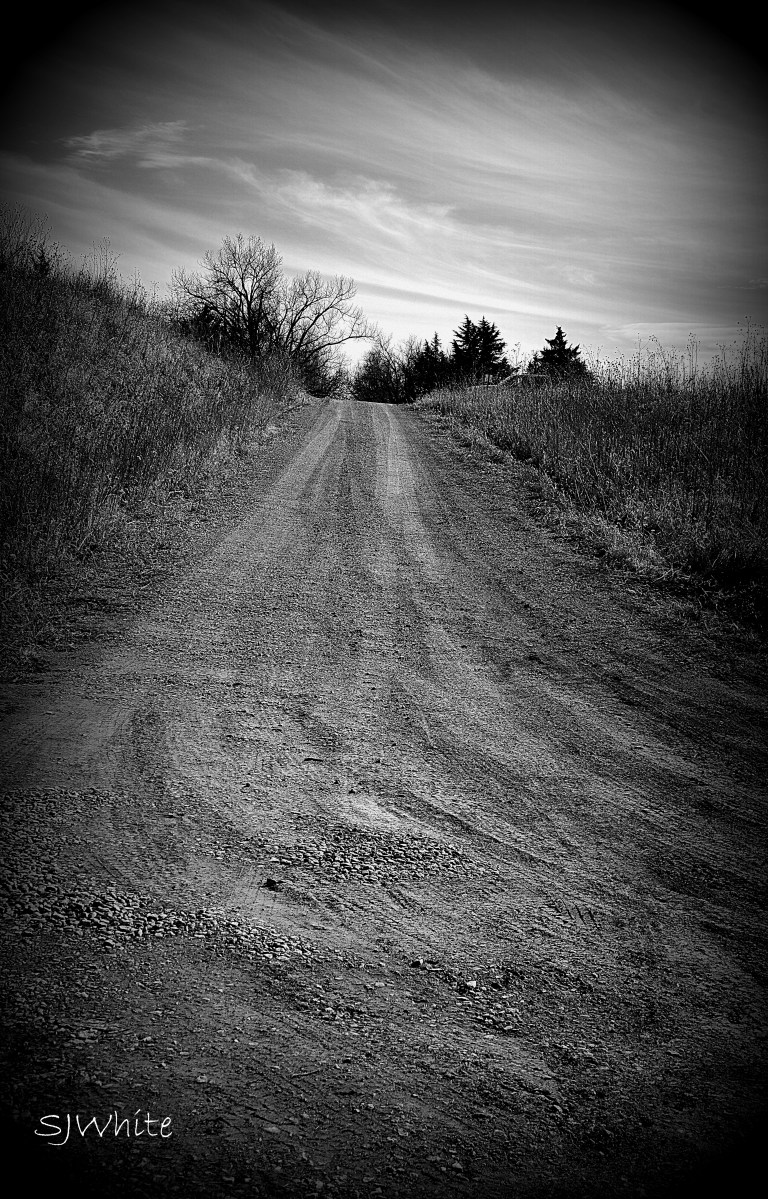 Time For Monochrome Monday | Out of My Write Mind