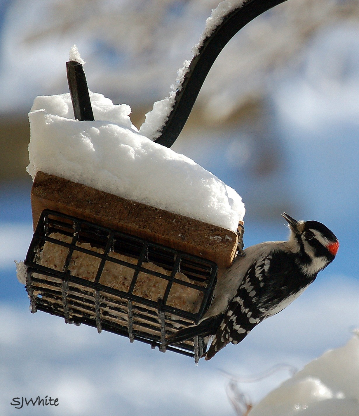 February Can Be Frigid #12 | Out of My Write Mind