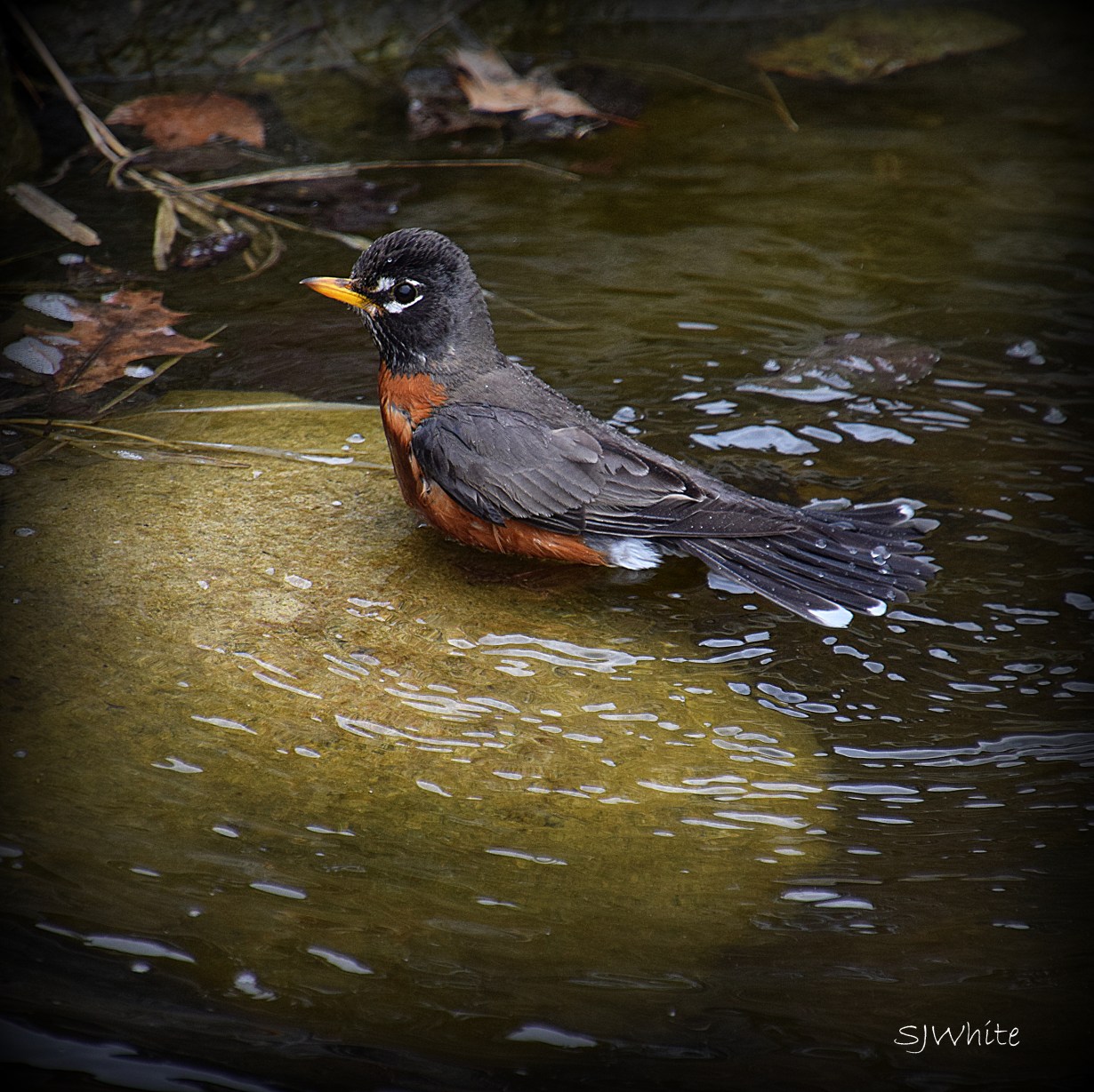 You Can Take Part | Out of My Write Mind