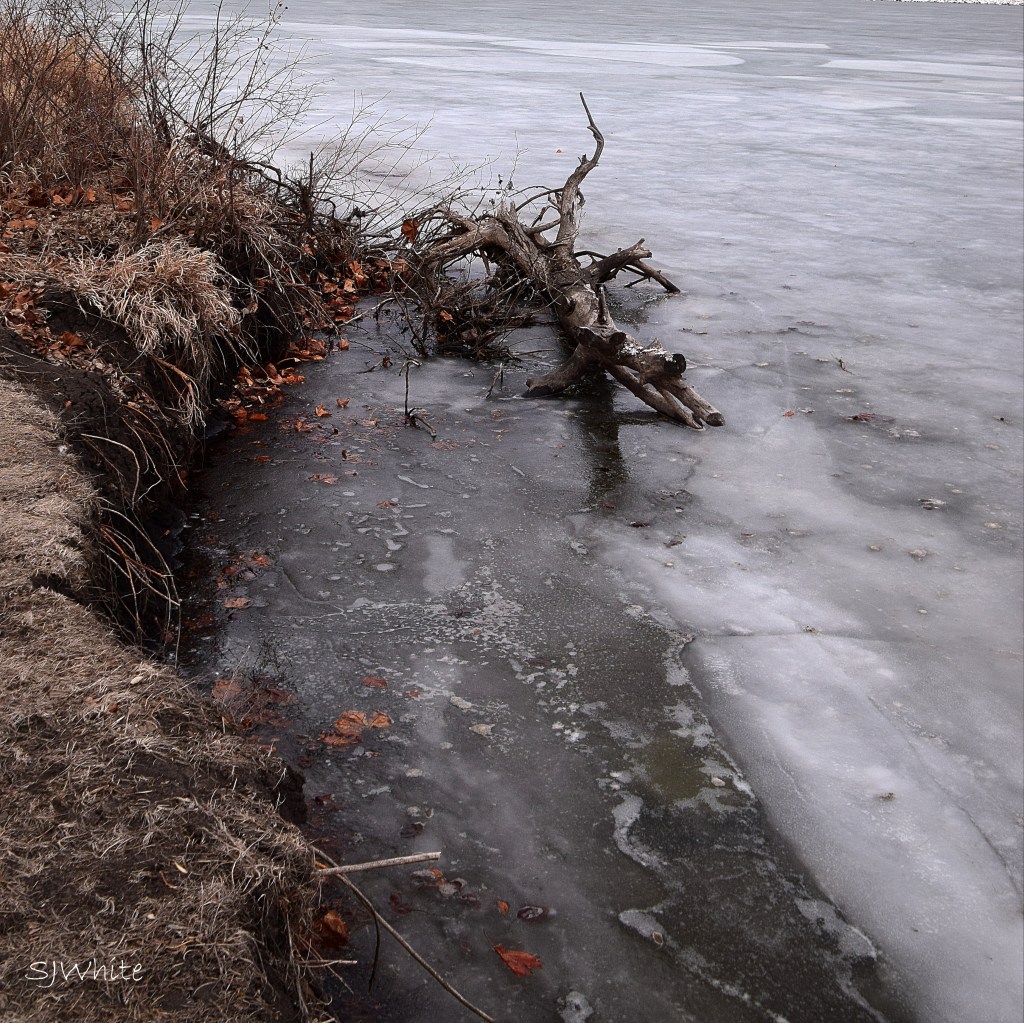 February Can Be Frigid #16 | Out of My Write Mind