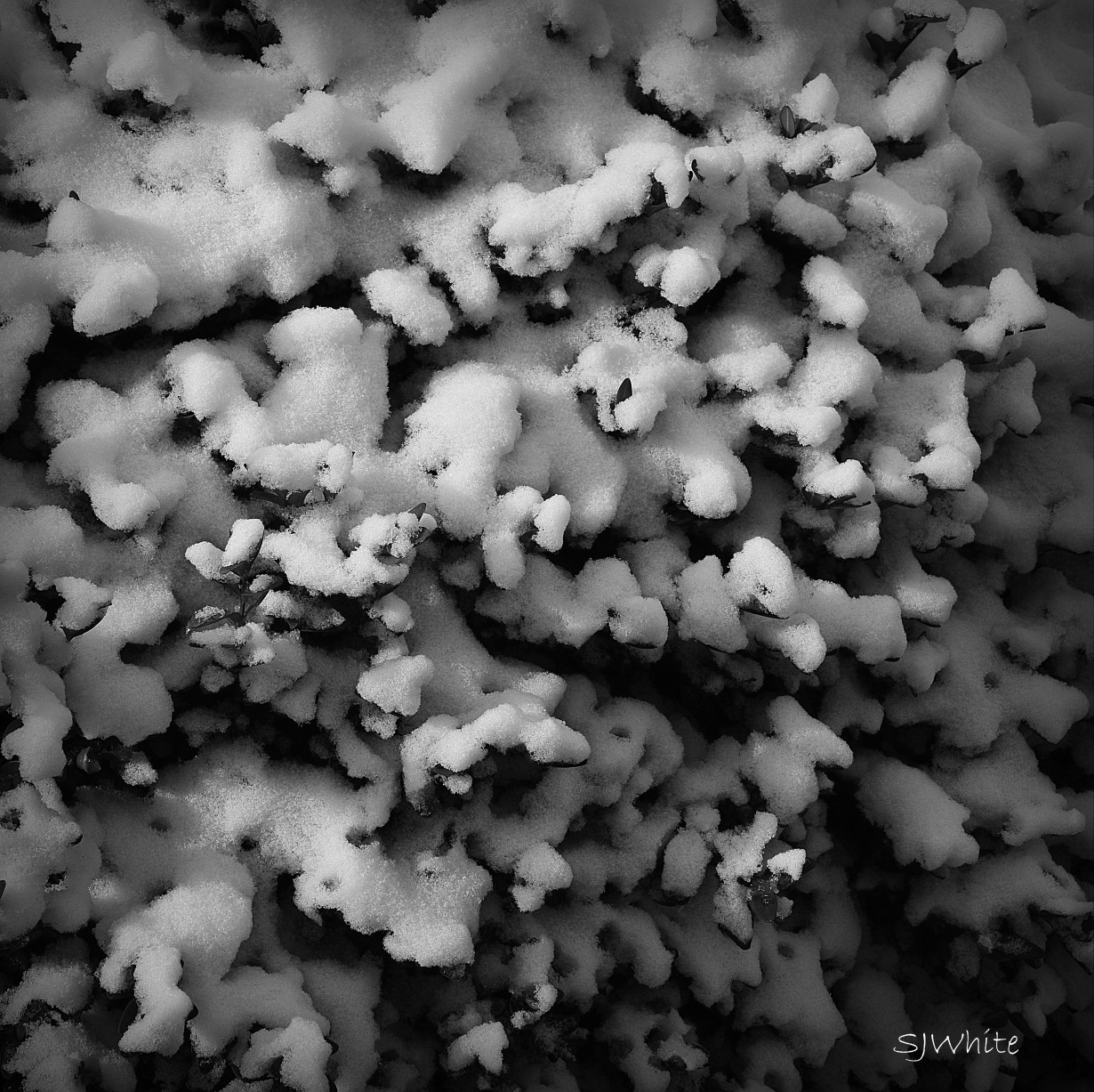 February Can Be Frigid #15 | Out of My Write Mind