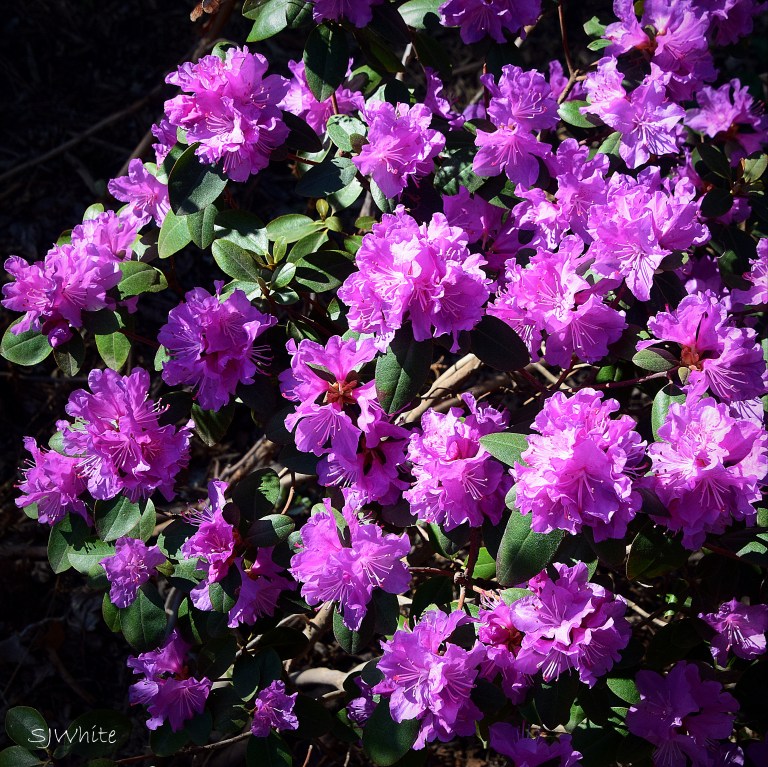 Notice: Spring Blogging Hiatus | Out of My Write Mind